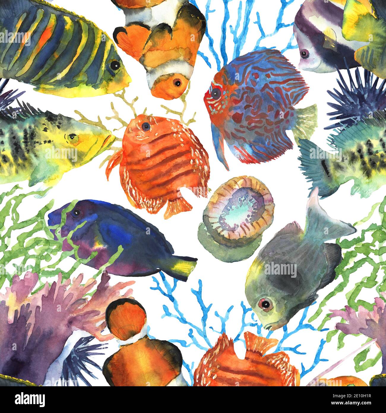 Colorful exotic tropical fishes seamless pattern hand drawn in ...