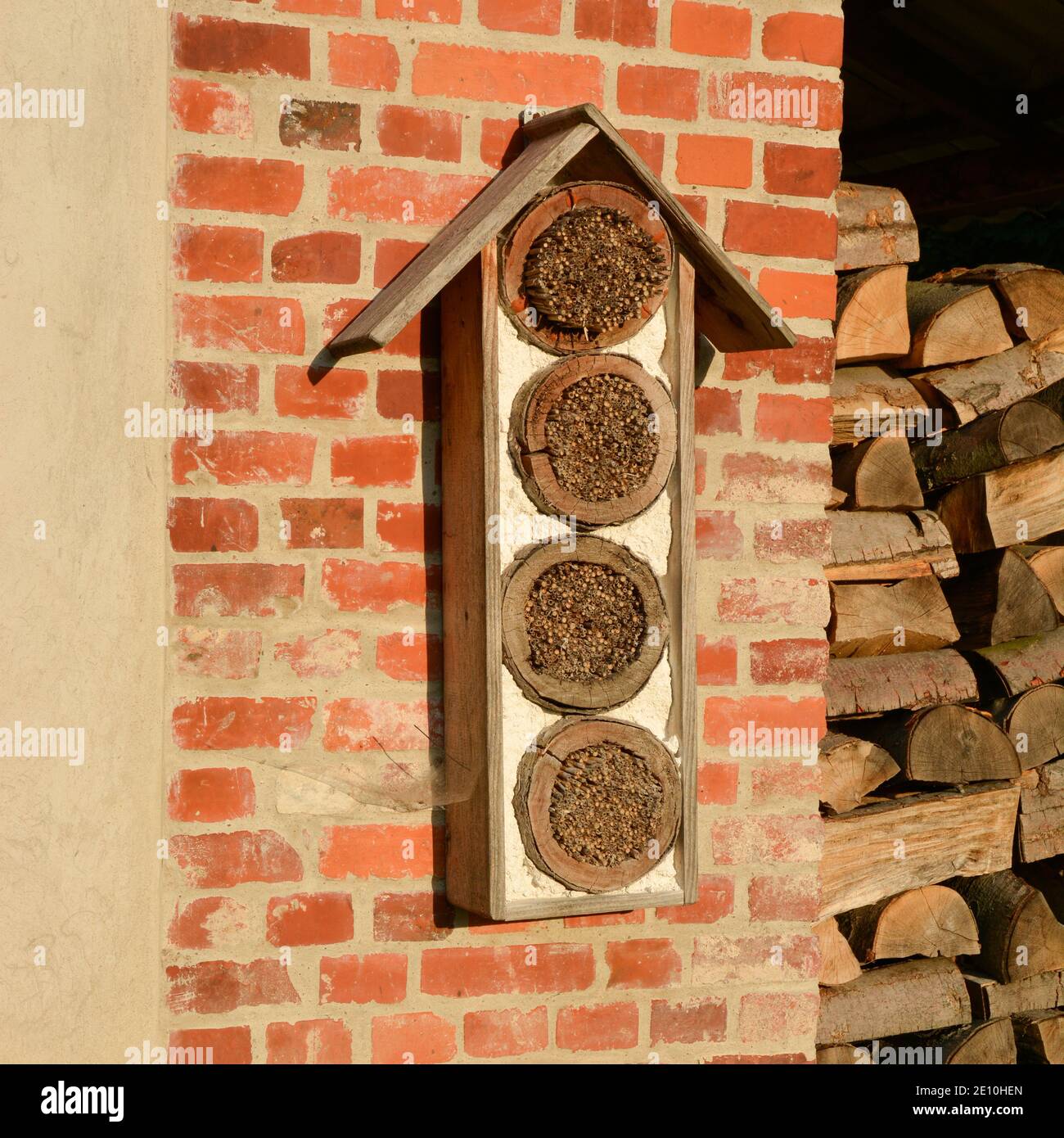 Ladybirds nesting hi-res stock photography and images - Alamy