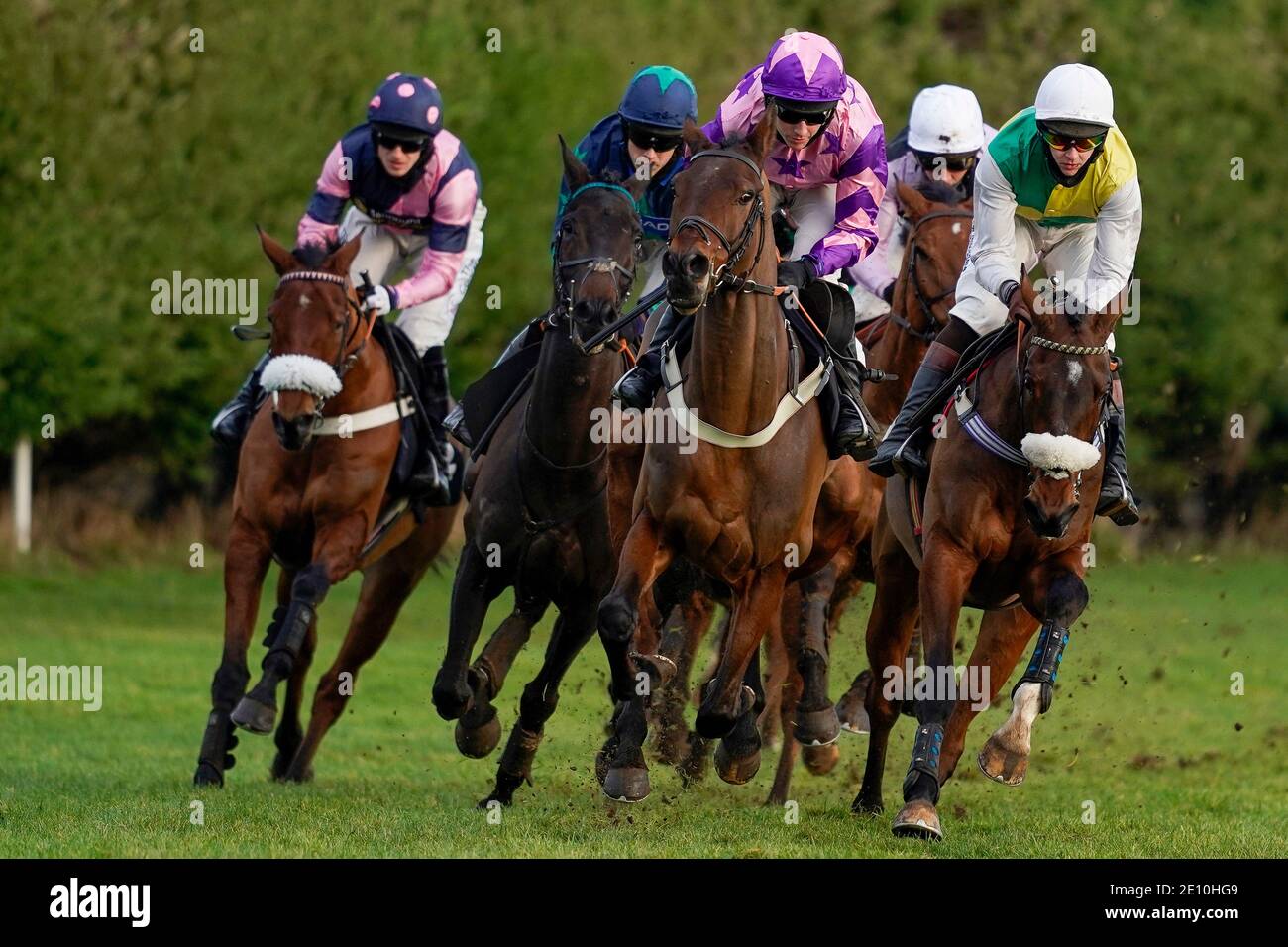 Annual invictus horse hi-res stock photography and images - Alamy
