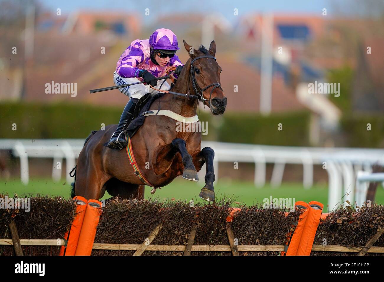 Annual invictus horse hi-res stock photography and images - Alamy