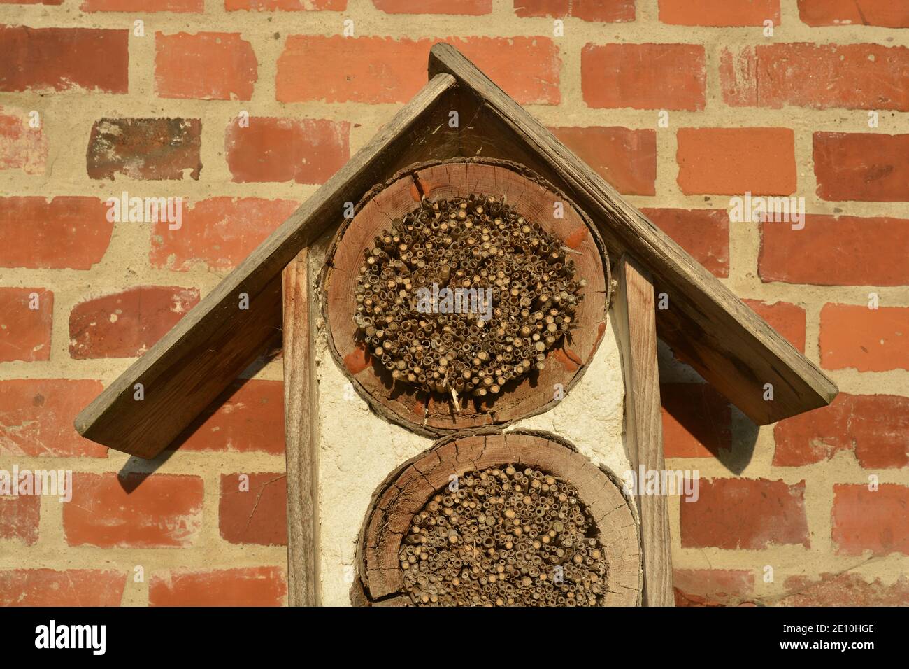 Insect hotel (Insect house, bee hotel) made from wood, hollow reeds and ...
