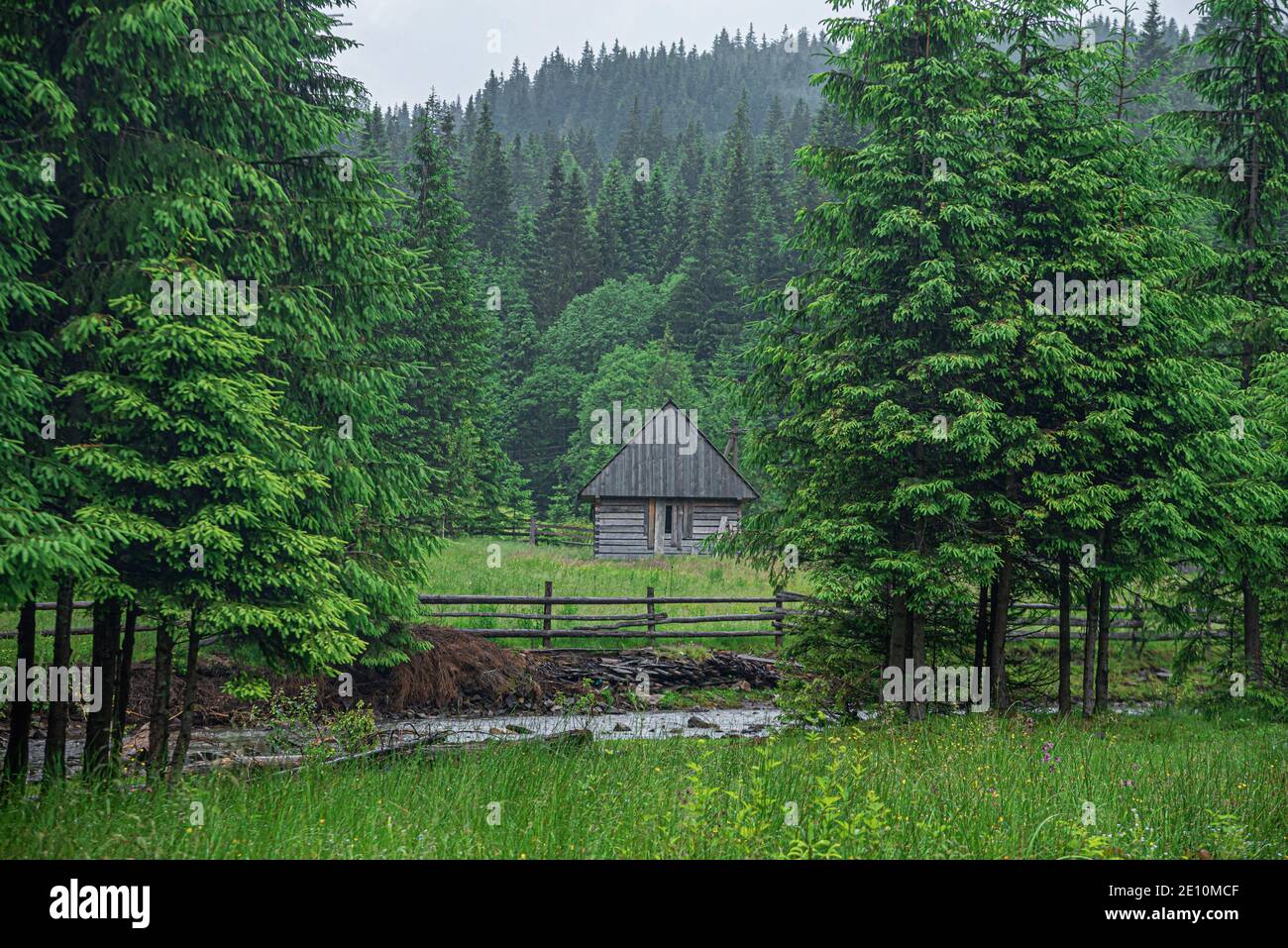 Old wooden house in the forest Stock Photo - Alamy