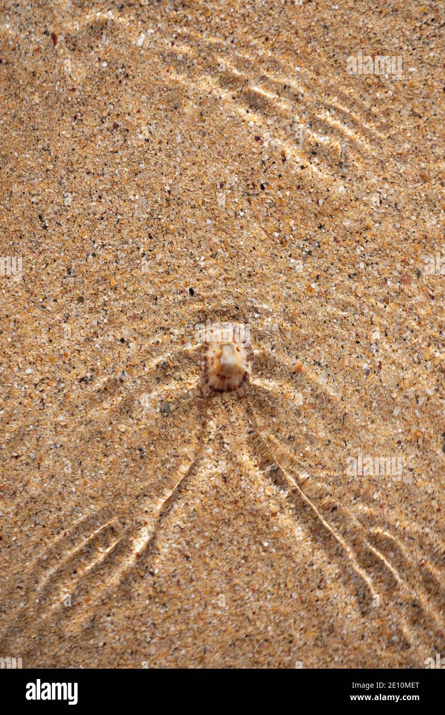 Sand patterns with water Stock Photo - Alamy