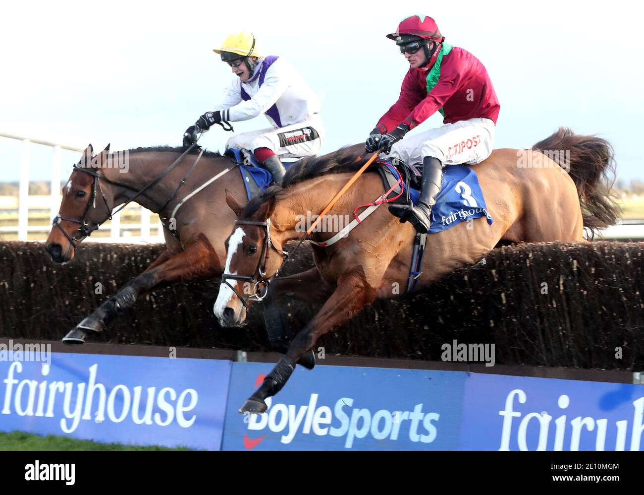 Moyhenna horse hi-res stock photography and images - Alamy