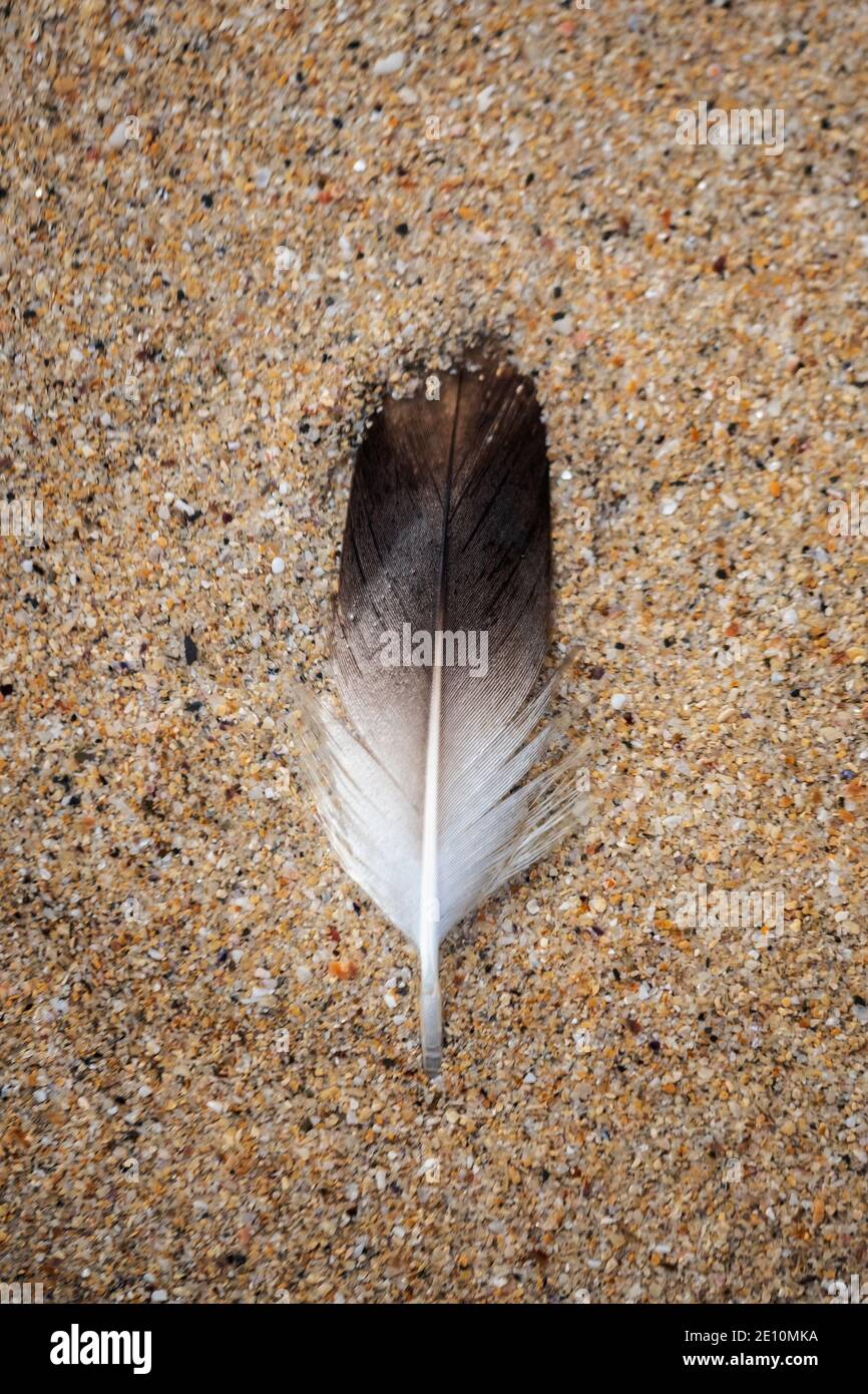 Virtical image hi-res stock photography and images - Alamy