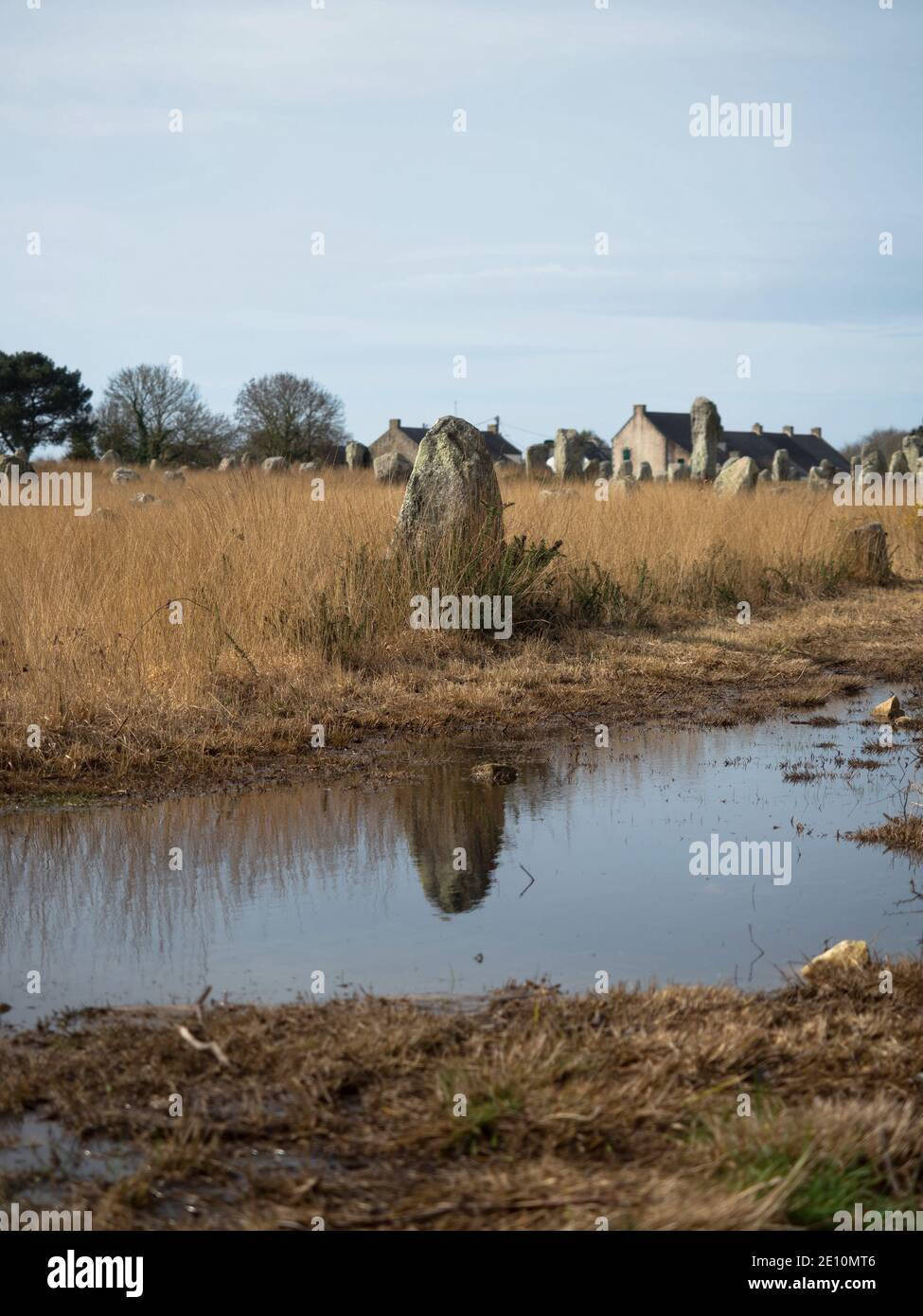 Pre celtic Carnac standing granite stones menhir megalith monolith rock ...