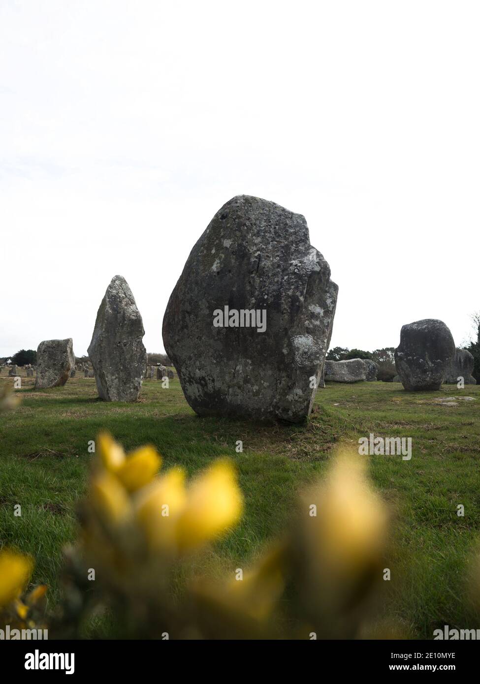 Pre celtic Carnac standing granite stones menhir megalith monolith rock ...