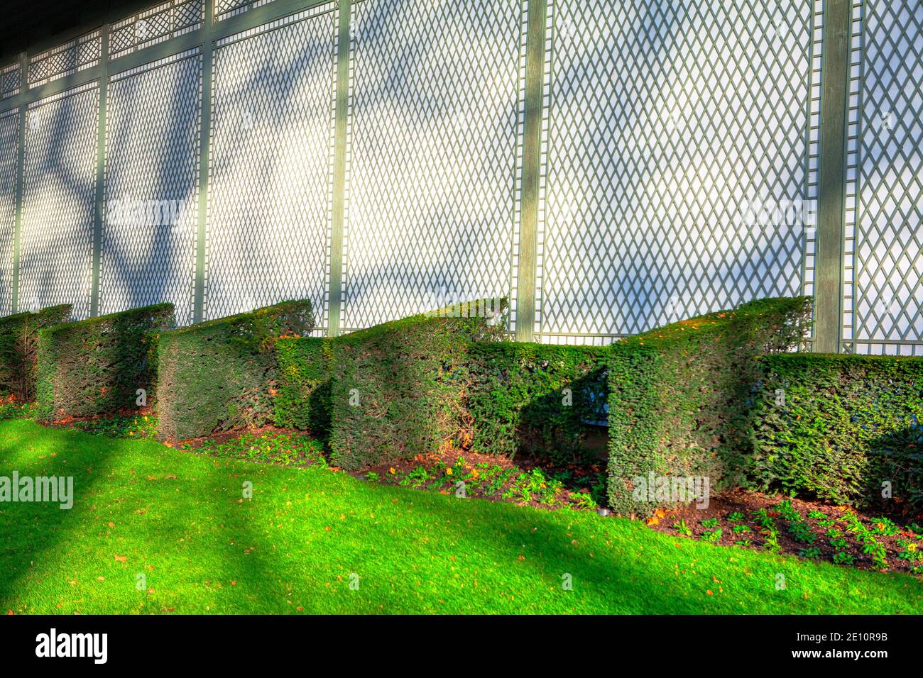 Green decorative bushes and fence Stock Photo - Alamy