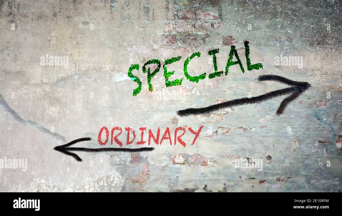 Street Sign the Direction Way to Special versus Ordinary Stock Photo ...