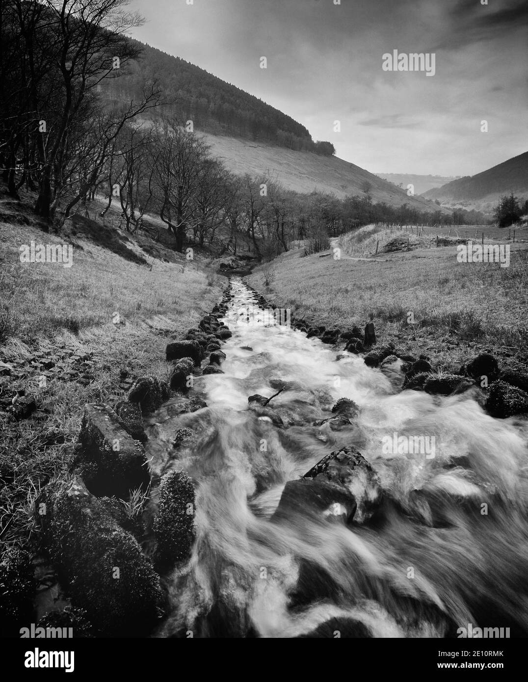 Cwmcarn forest newport hi-res stock photography and images - Alamy