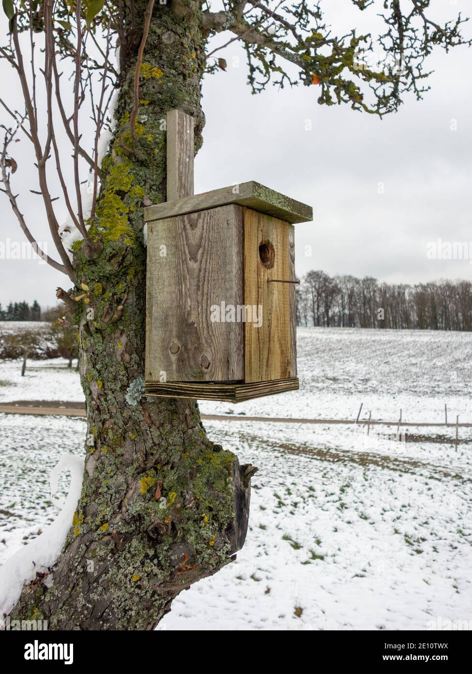 Wooden bird box hi-res stock photography and images - Alamy