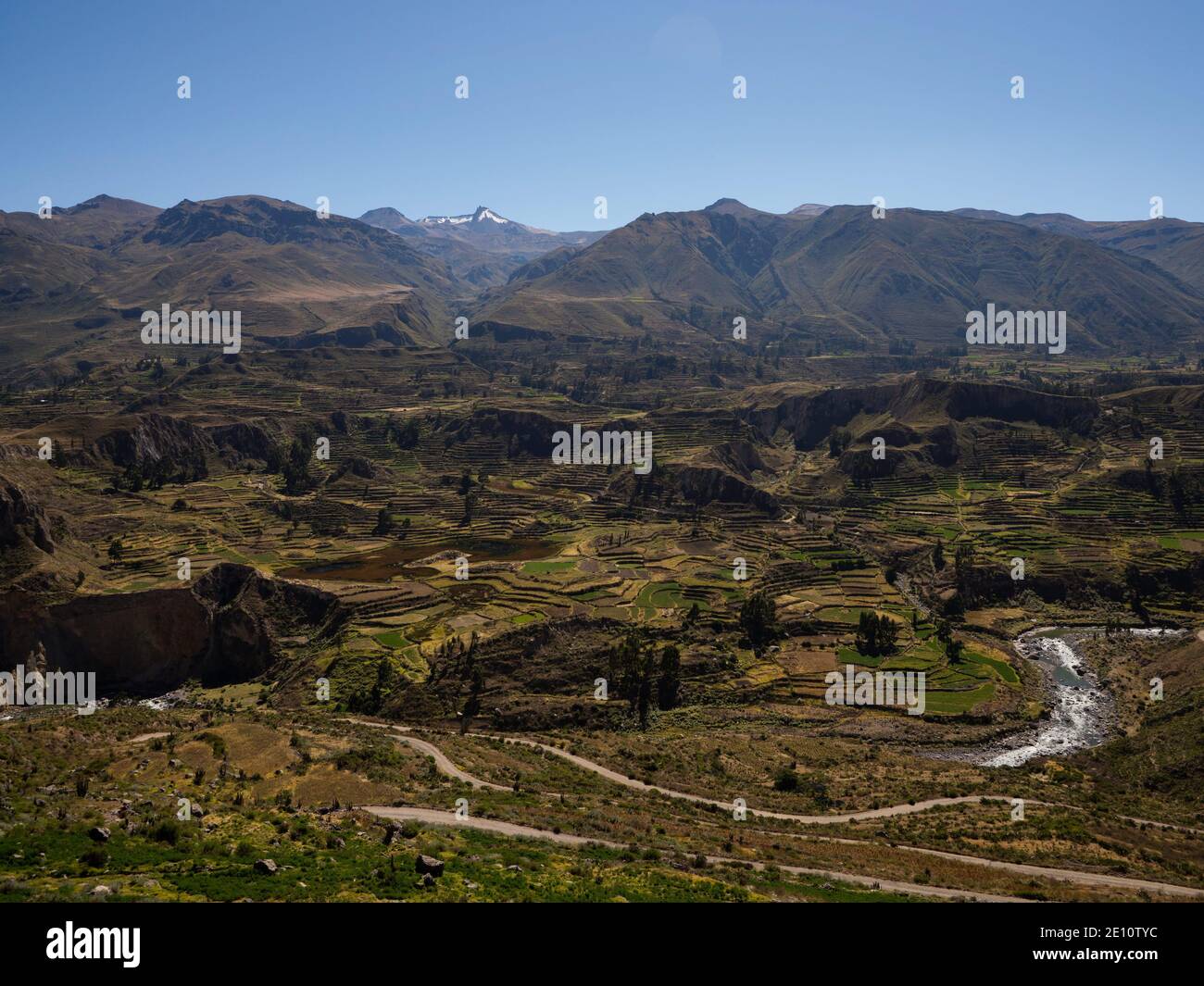 Panoramic view of pre inca stepped terraces anden farming agriculture ...