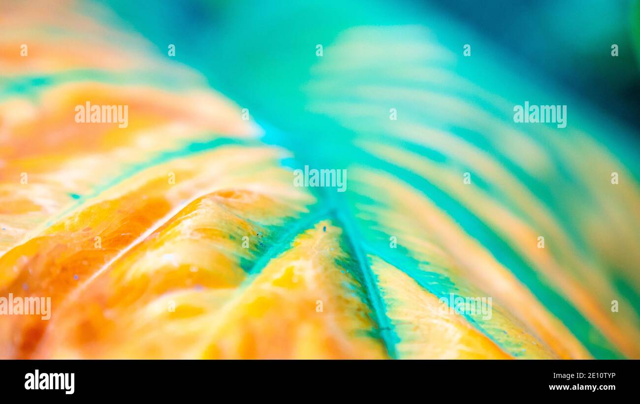 Abstract leaf art changing colors hi-res stock photography and images ...