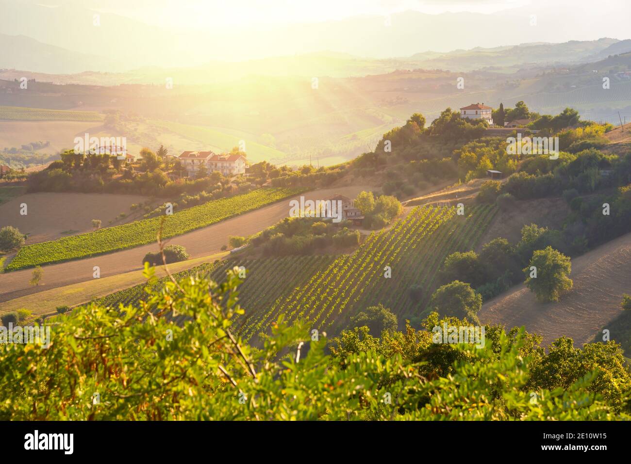 Panoramic view to vineyard on hills, winery and wine producing Stock ...