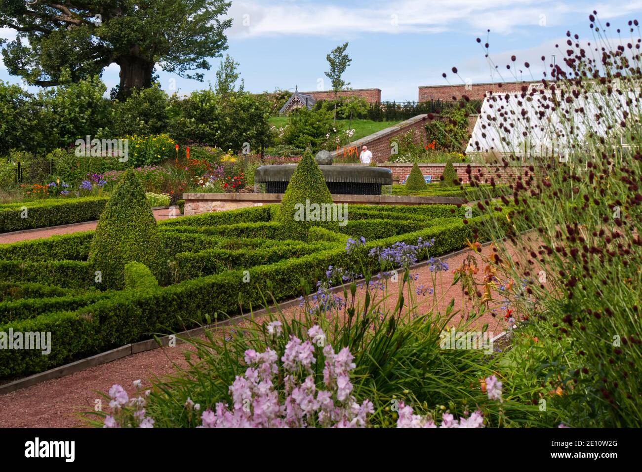 formal box hedge in the Queen Elizabeth Walled Gardens,Dumfries House ...
