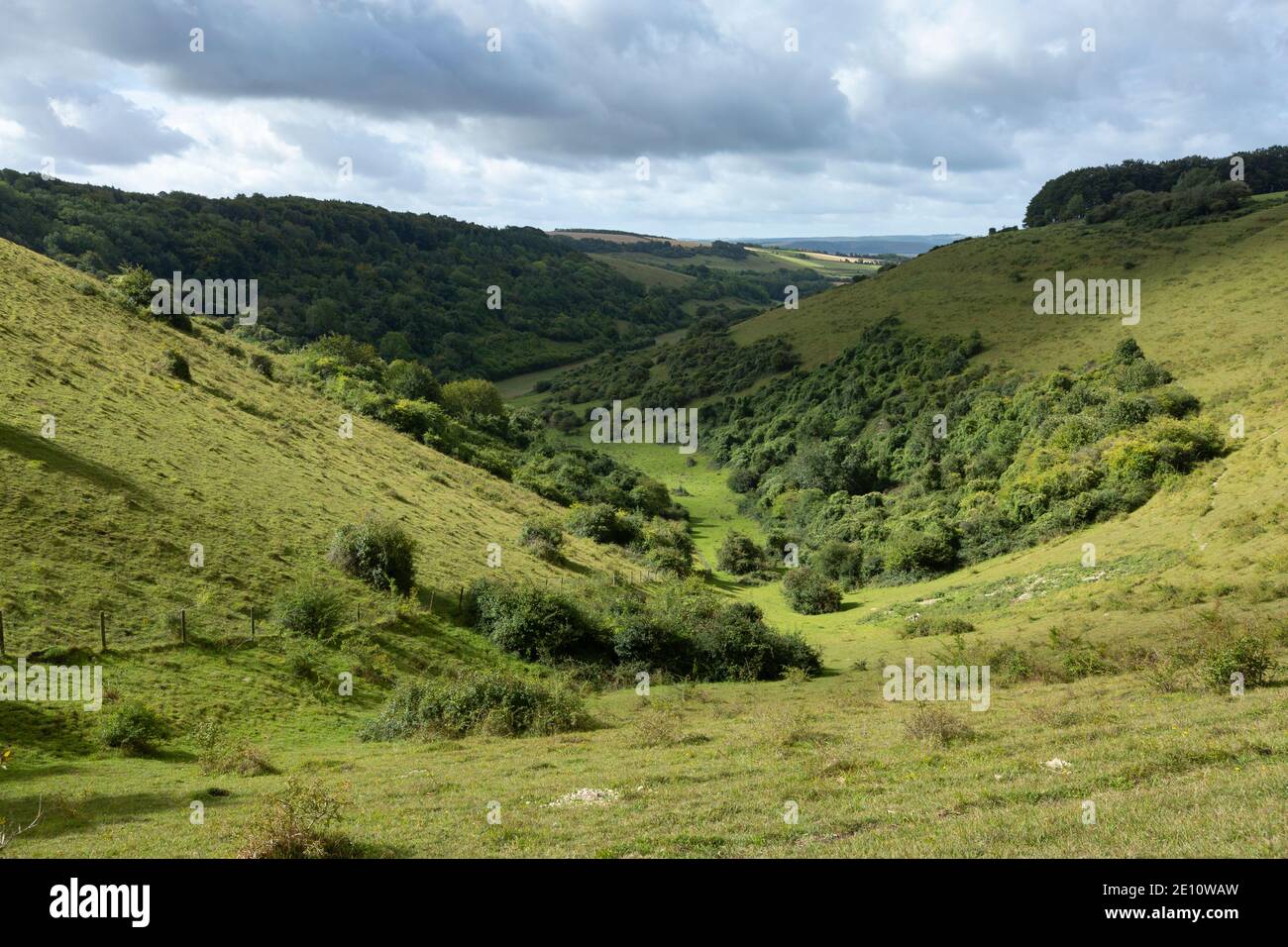 Fontmell down reserve hi-res stock photography and images - Alamy