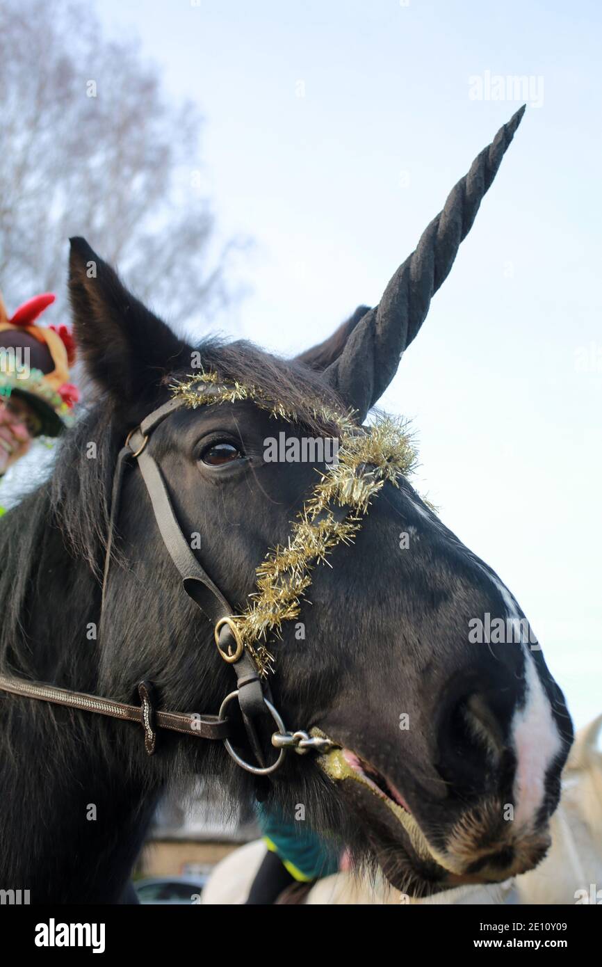 Unicorn Horse High Resolution Stock Photography and Images - Alamy