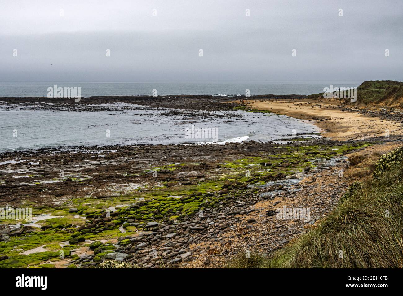 Slope point new zealand hi-res stock photography and images - Alamy