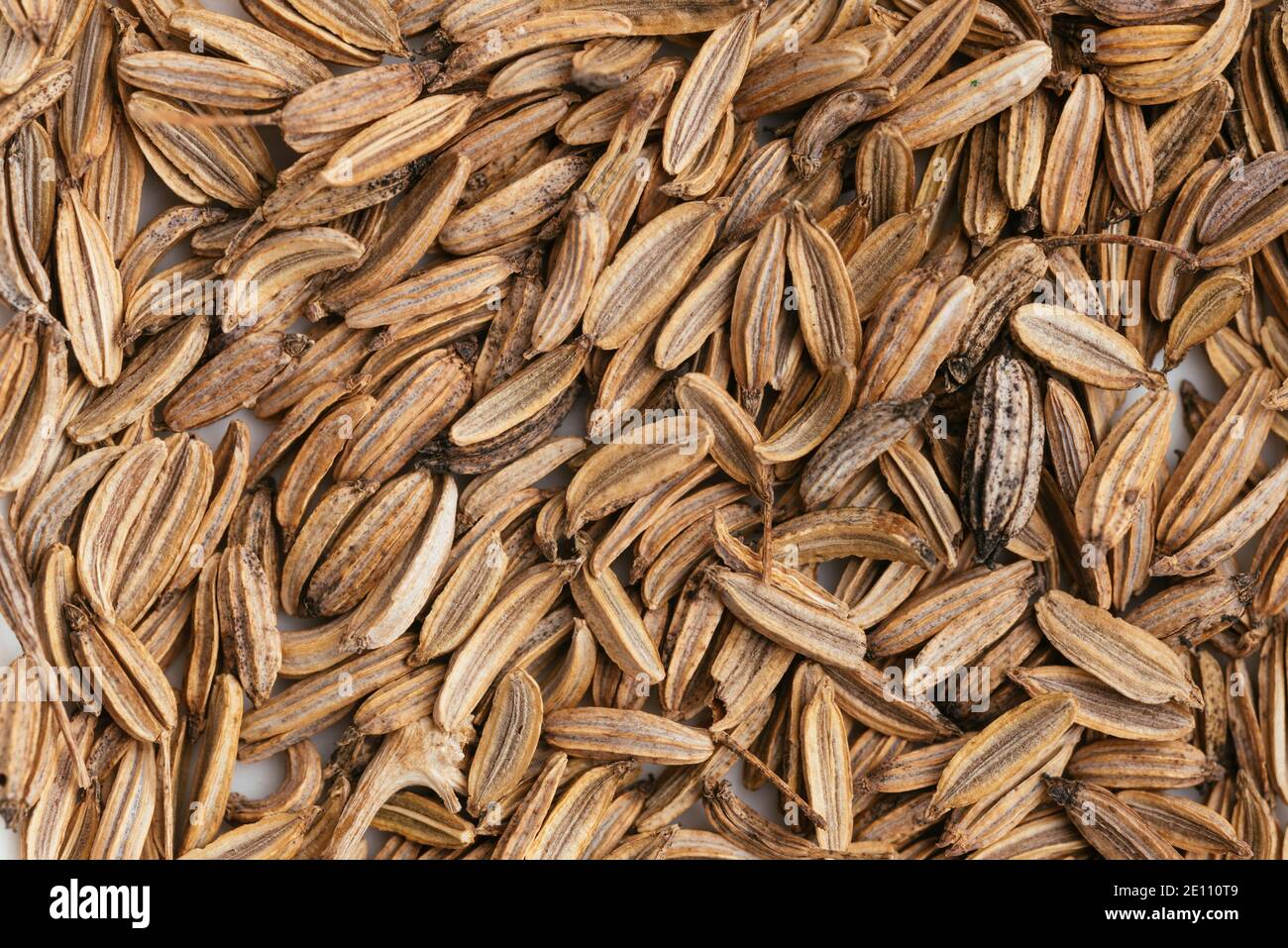 Overhead view of fennel (Foeniculum vulgare) seeds Stock Photo - Alamy