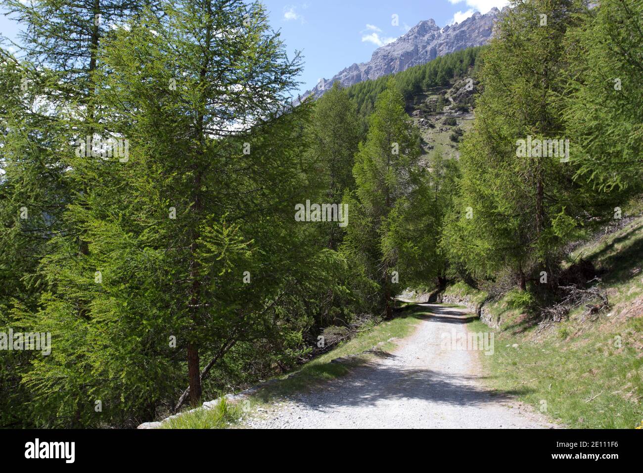 A landscape view during a trekking in Bormio, Italy Stock Photo - Alamy