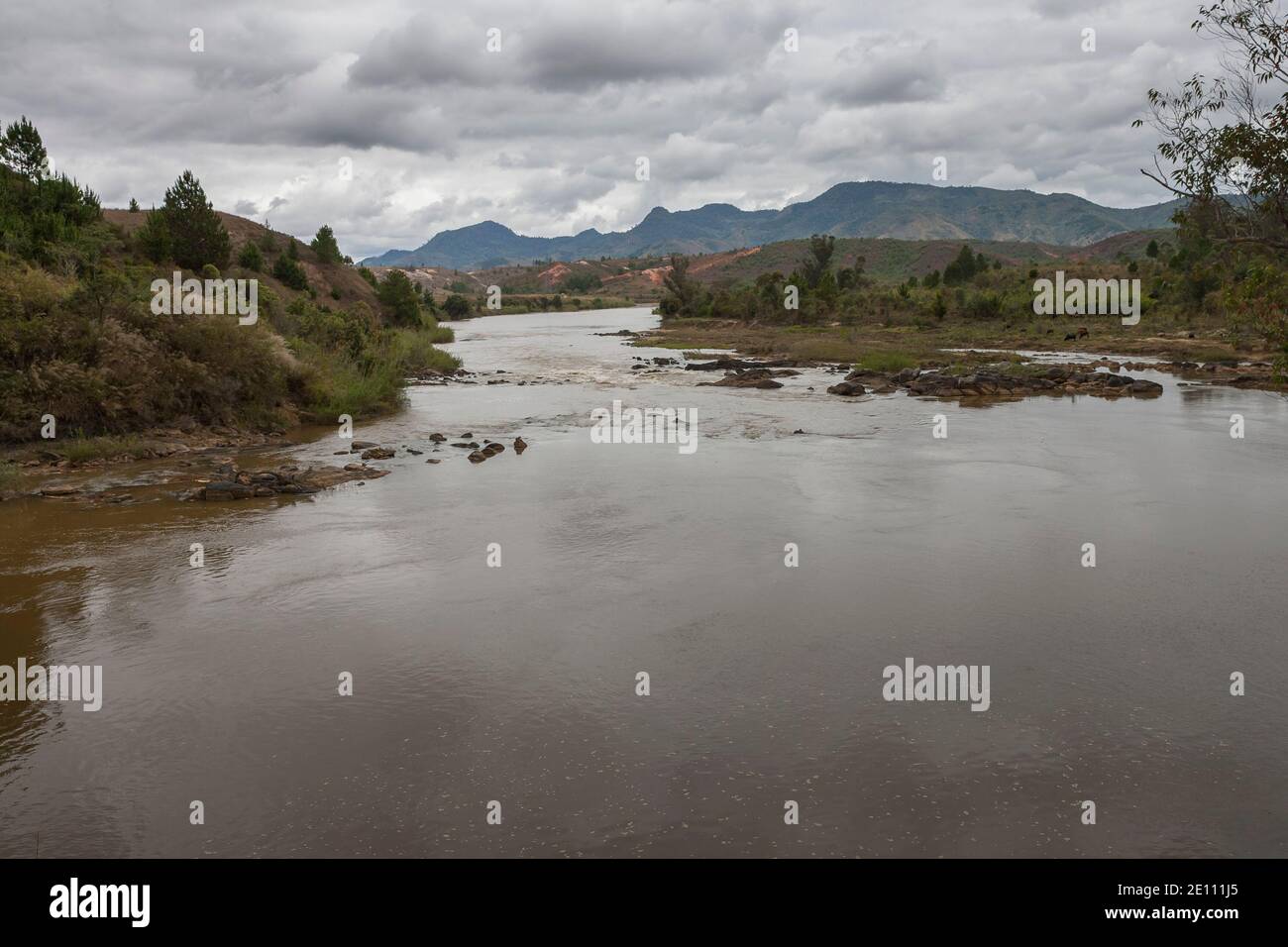 Mangoro hi-res stock photography and images - Alamy