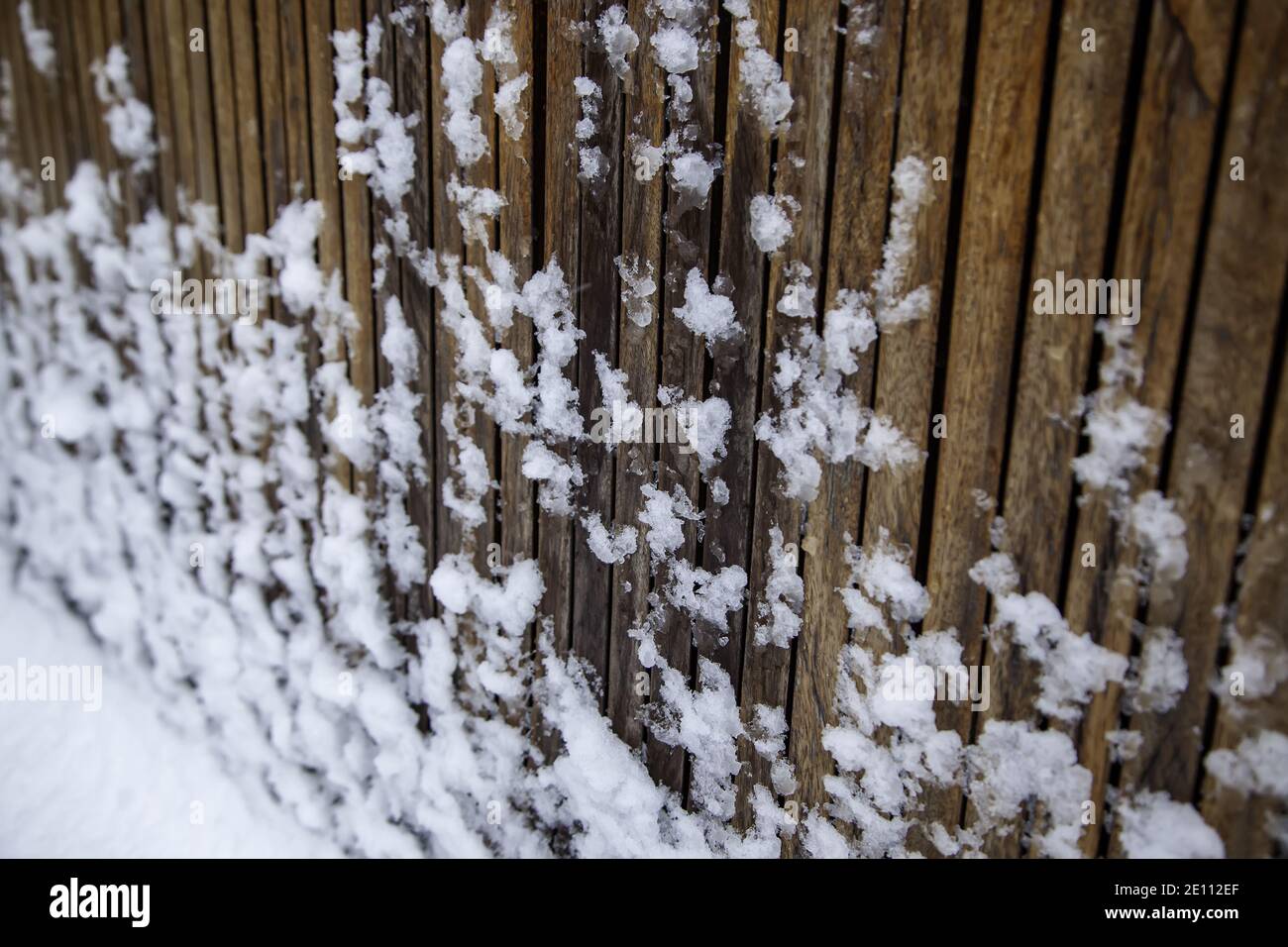 Frosted wood texture on table, construction and architecture, winter ...