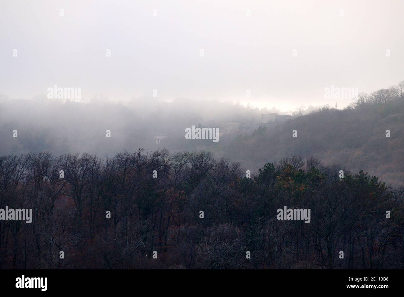 Fog over forest hi-res stock photography and images - Alamy