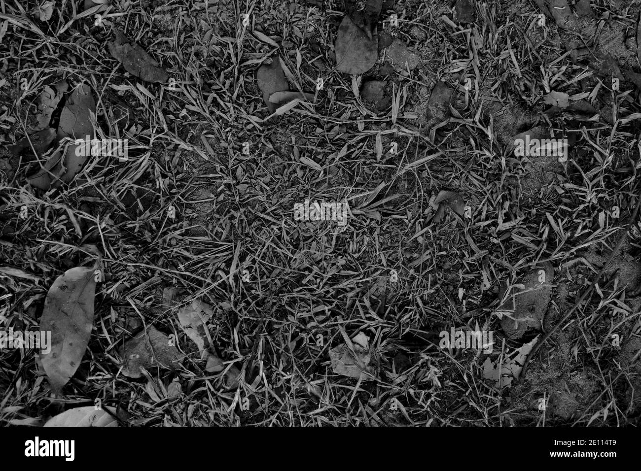Simple empty dark scene Black and White Stock Photos & Images - Alamy