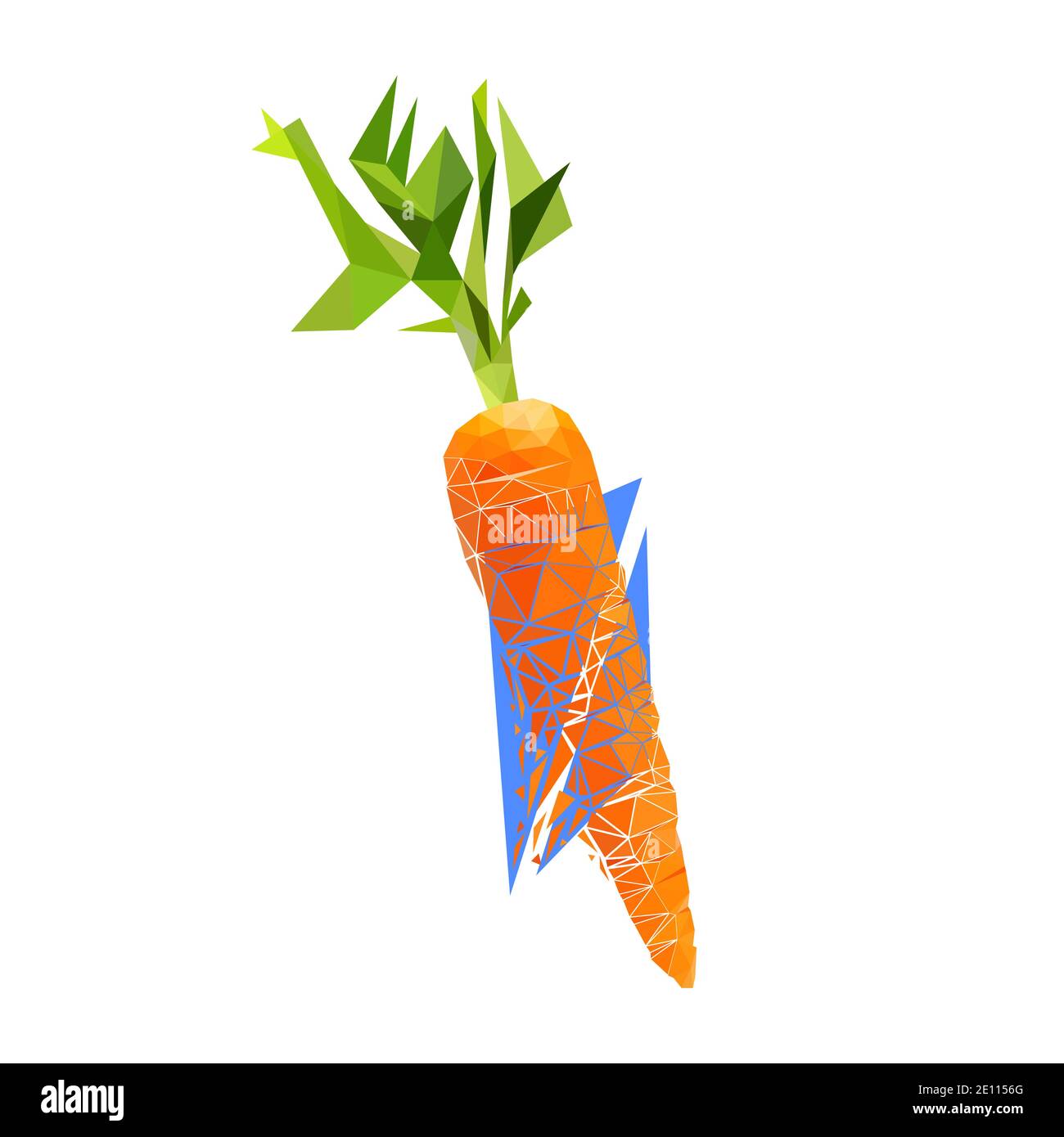 Fresh raw cut carrot Stock Vector Images - Alamy