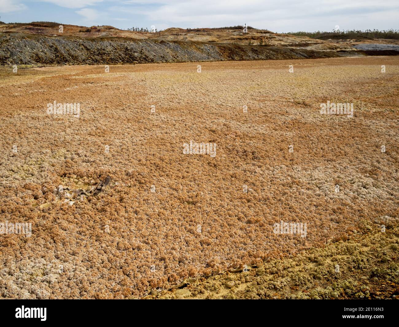 Polluted soil hi-res stock photography and images - Alamy