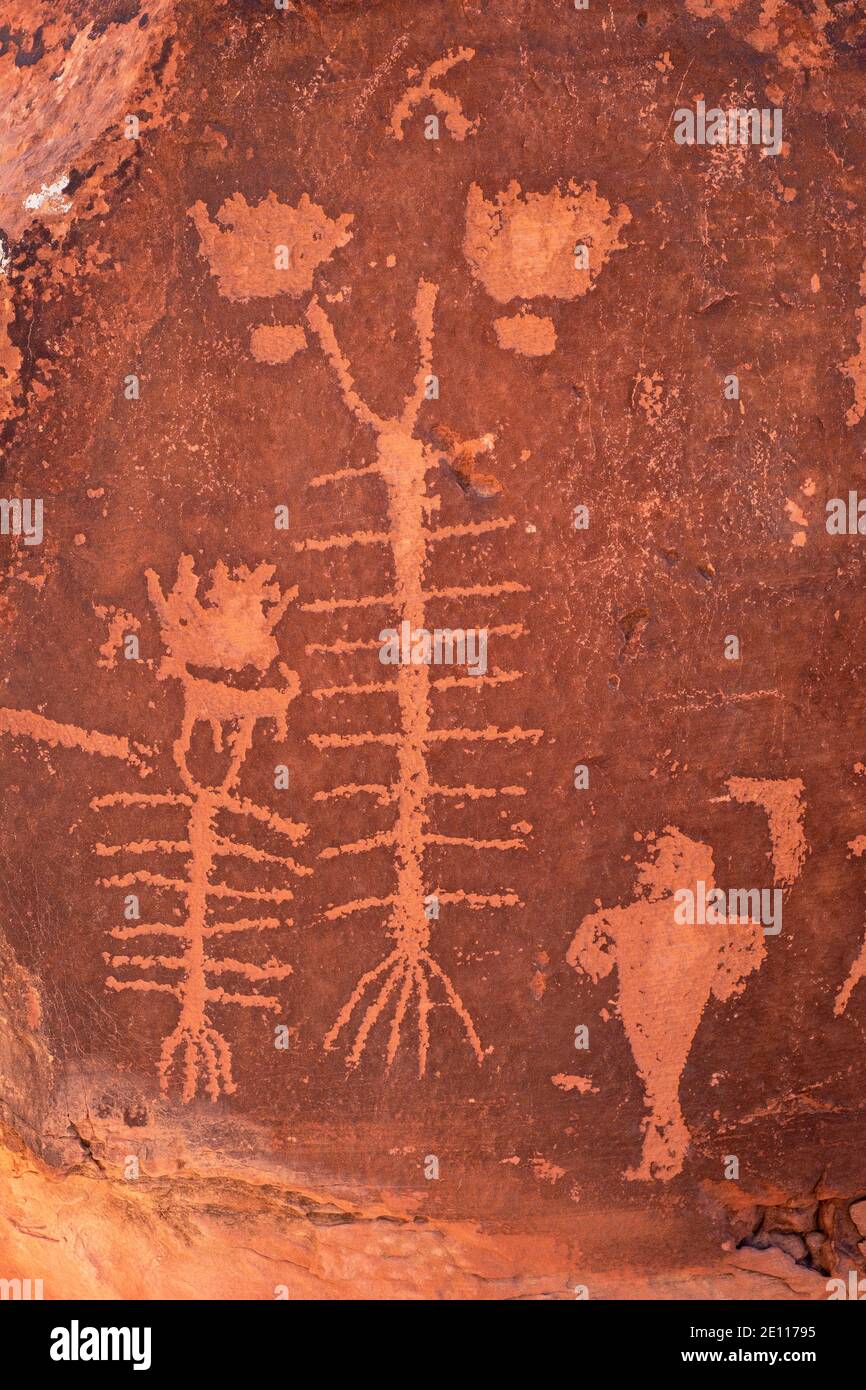 Native American Rock Art of Centipedes - Petroglyphs - on The Birthing ...