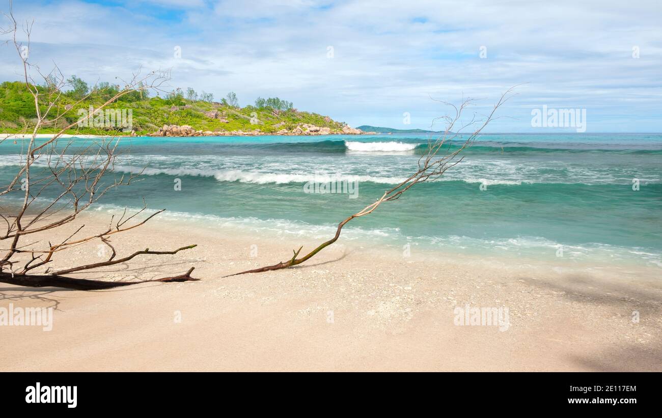 Tropical sea beach background as summer landscape with beach, vacation ...