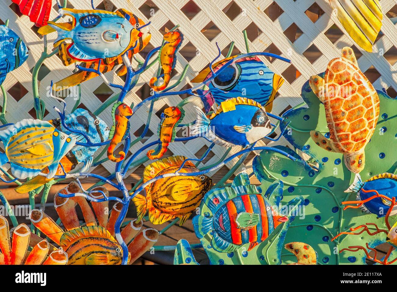 Underwater sea turtle key largo hi-res stock photography and images - Alamy