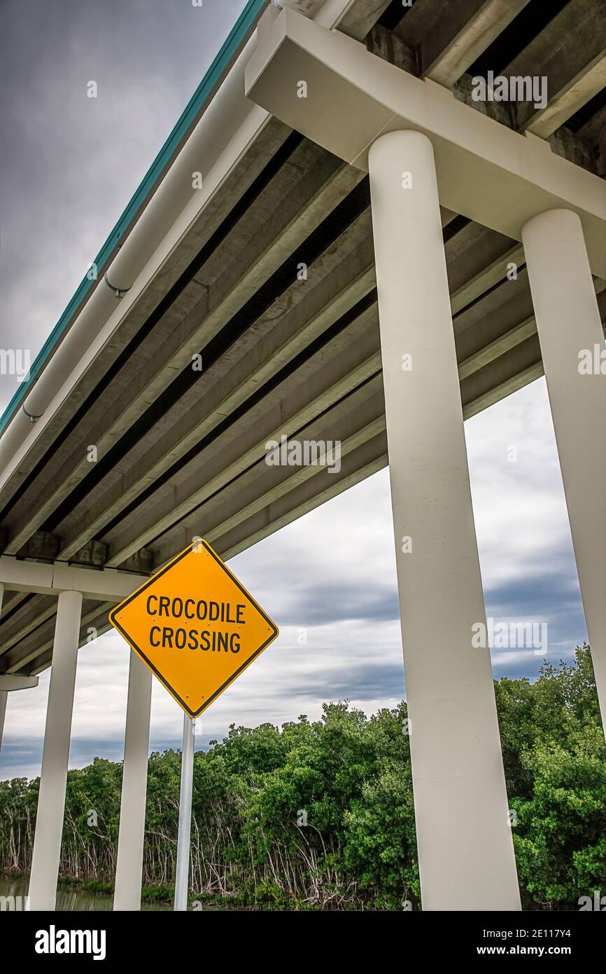 Crocodile Crossing sign beneath the Jewfish Creek Bridge over Lake ...
