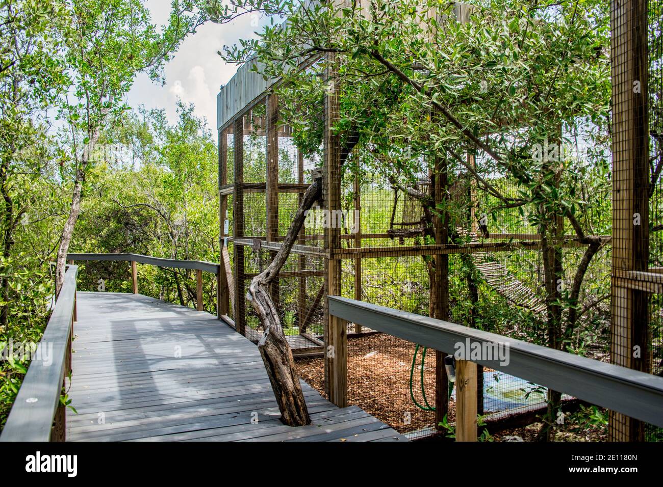 Cages along the boardwalk at the Laura Quinn Wild Bird Sanctuary on Key ...