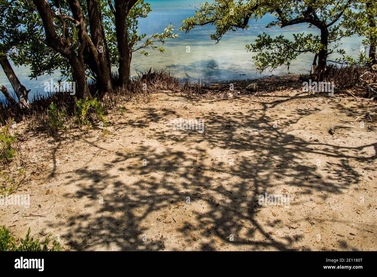 Gulf of mexico key largo florida hi-res stock photography and images ...