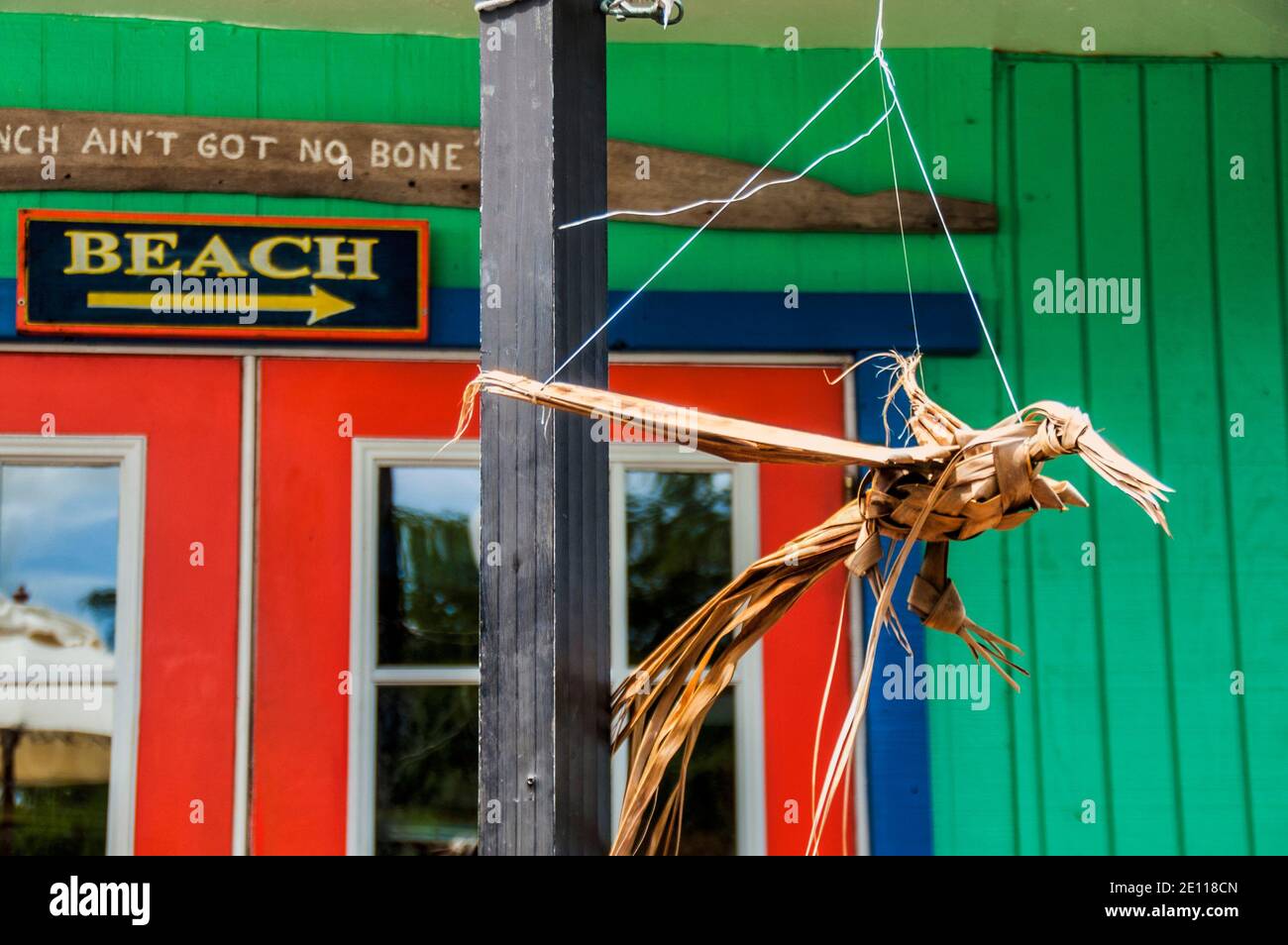 Palm frond hanging hi-res stock photography and images - Alamy