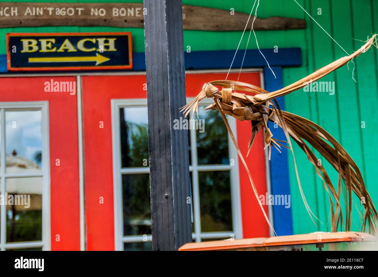 Palm frond hanging hi-res stock photography and images - Alamy