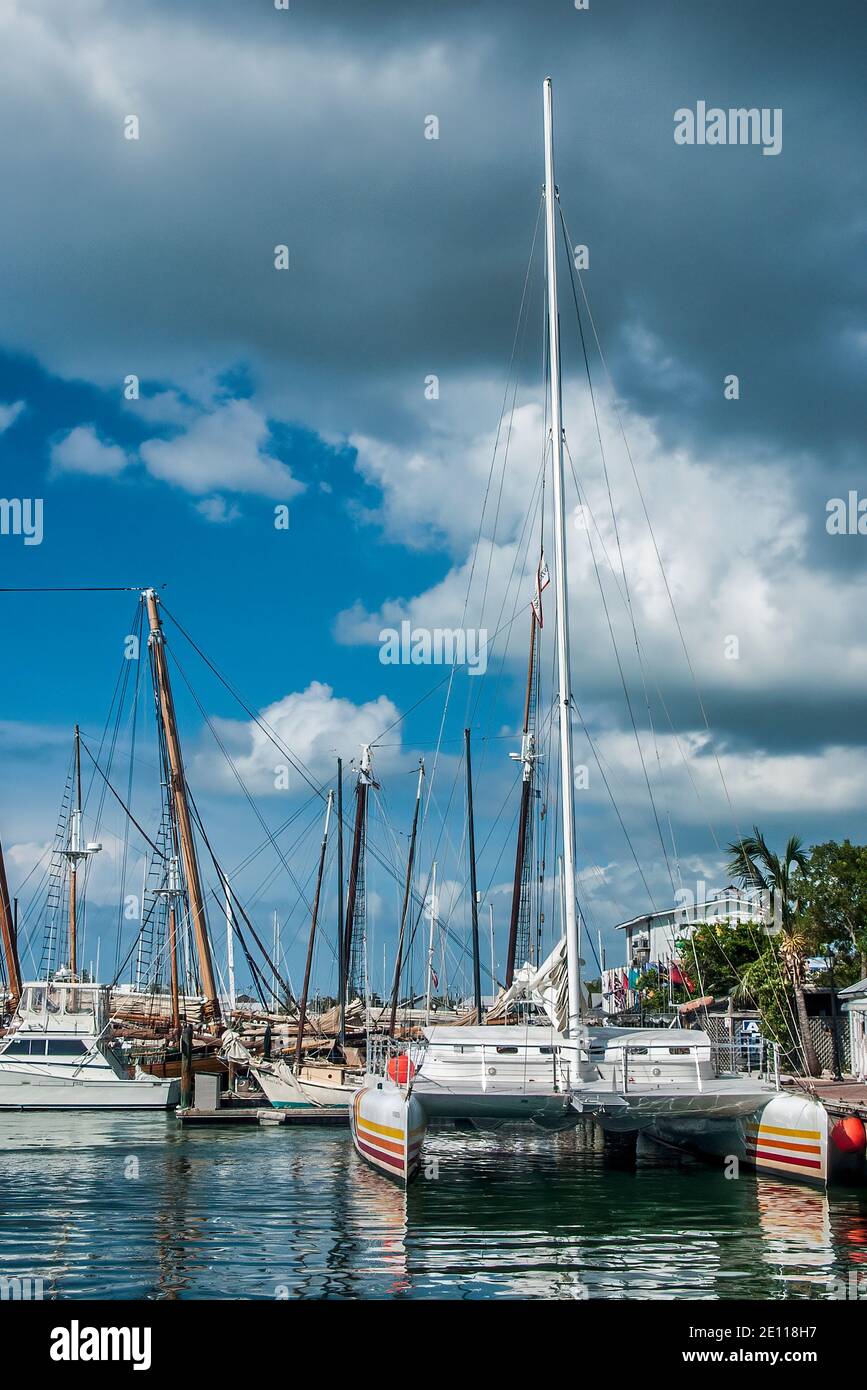 A catamaran sailboat docked at the Conch Harbor Marina in Key West in ...