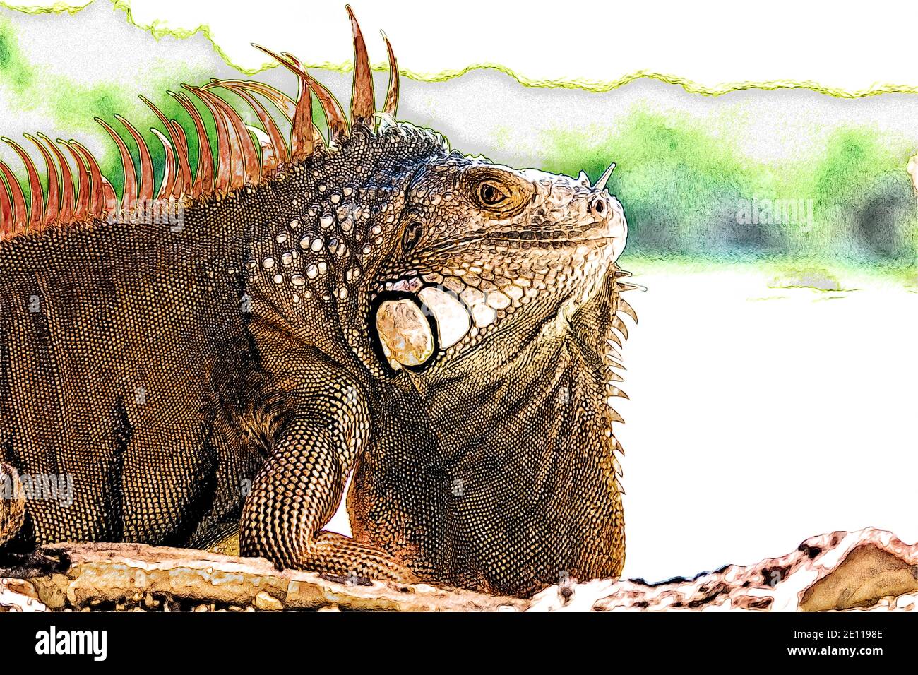 Photo illustration of an orange iguana sunning itself in a gun port of ...