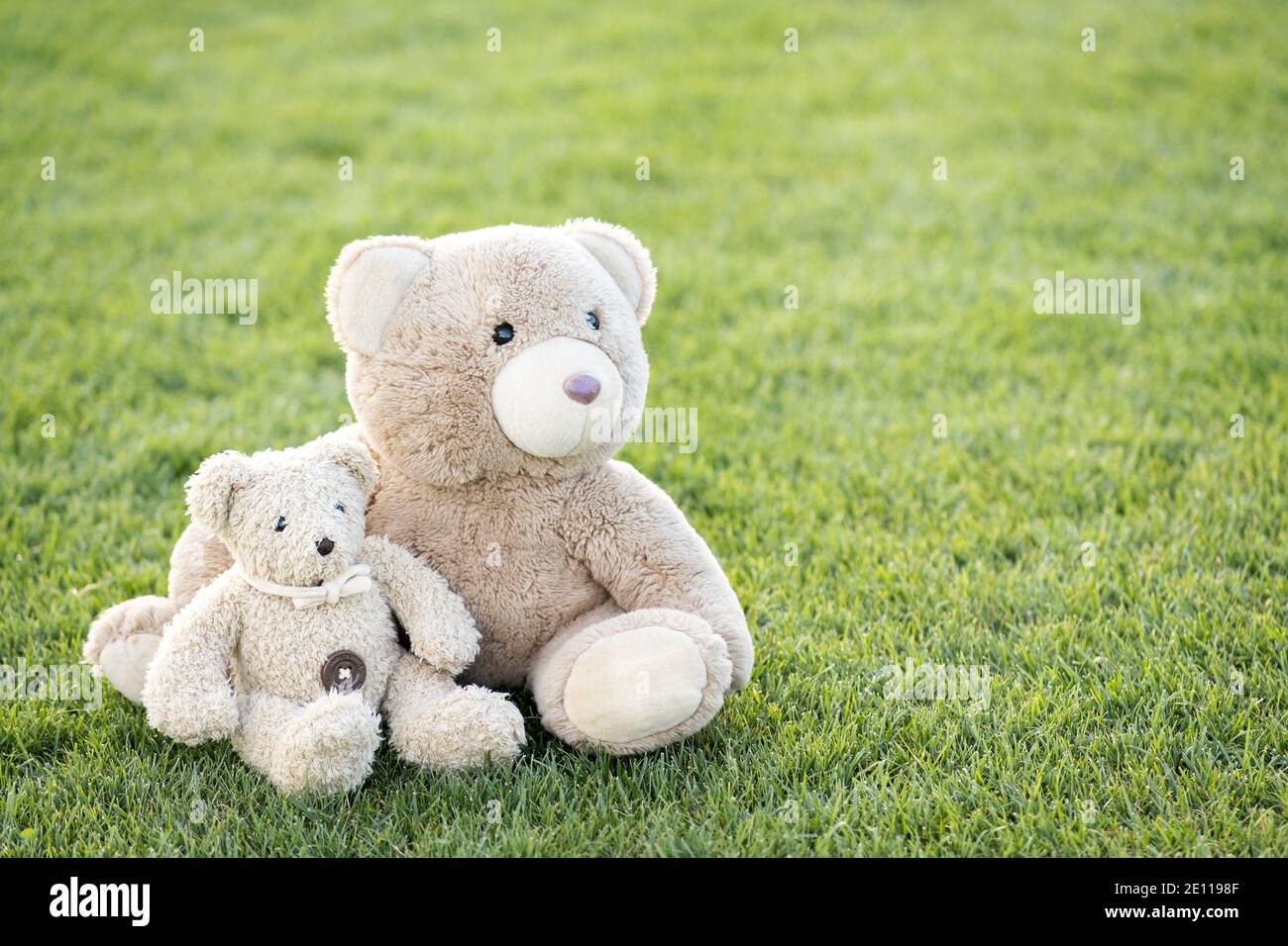Two cute teddy bear hi-res stock photography and images - Alamy