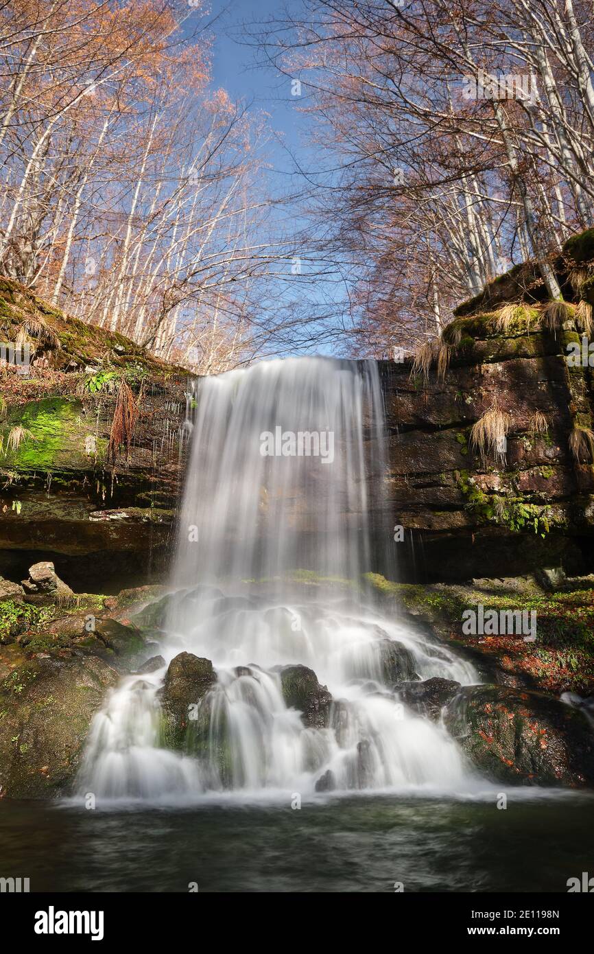 artistic, beautiful, birch tree, blurred motion, cascades, cliff, creek ...