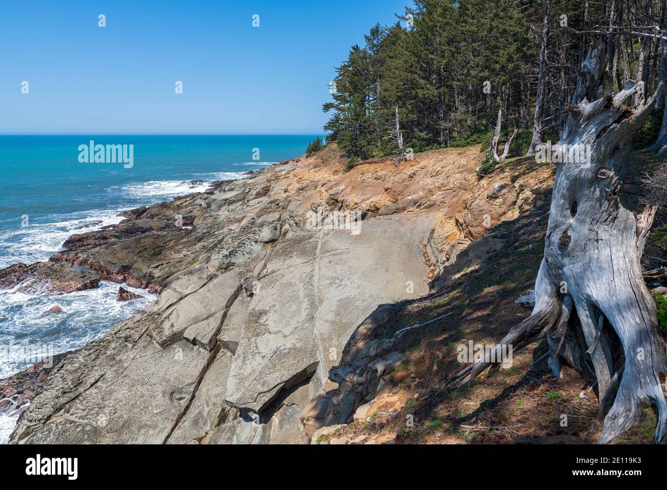 The rocky coastline and forest at Cape Sebastian State Park in Oregon ...