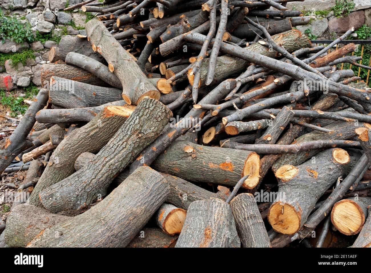 Pile of tree stumps hi-res stock photography and images - Alamy
