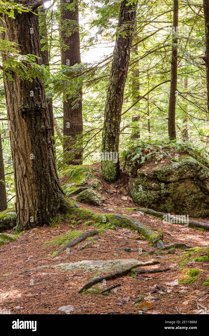 Tully reservation hi-res stock photography and images - Alamy