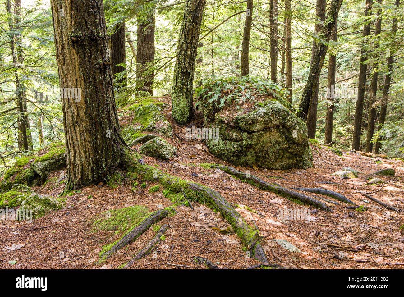 Tully reservation hi-res stock photography and images - Alamy