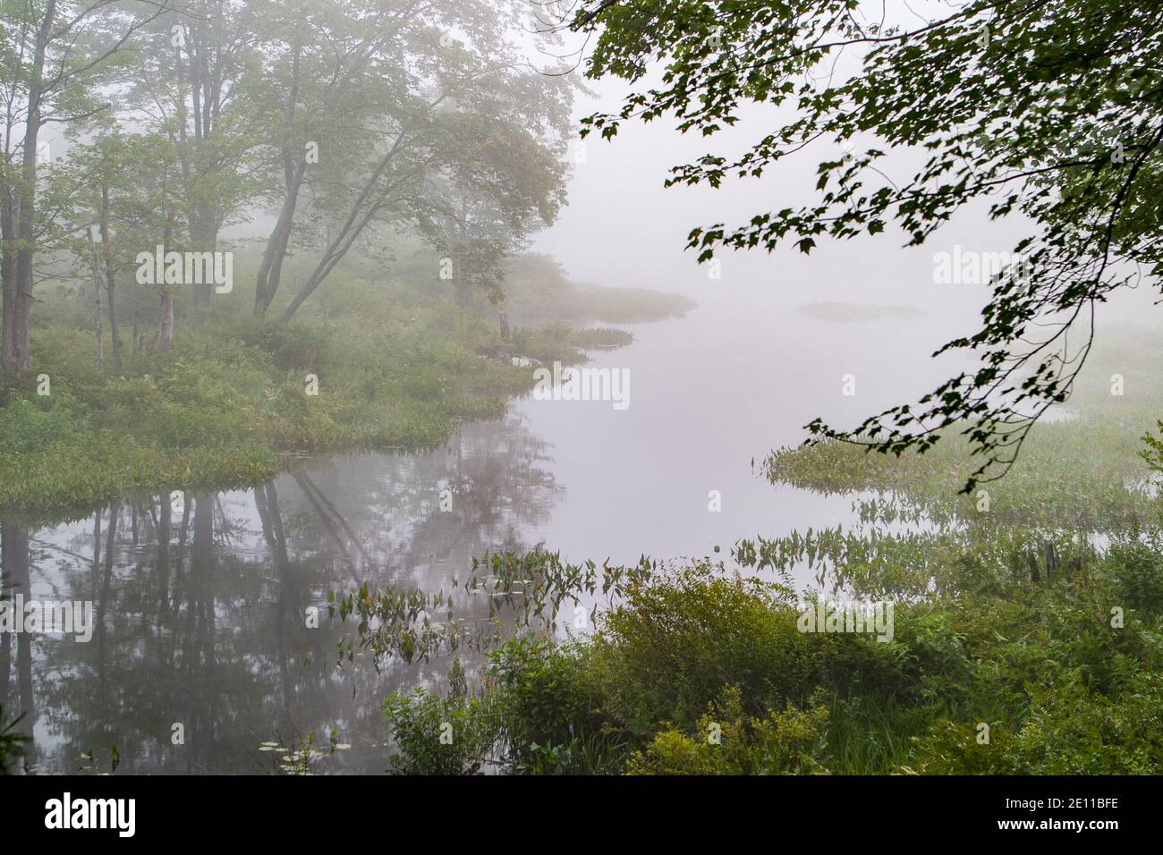 Tully River in Royalston on a foggy morning Stock Photo - Alamy