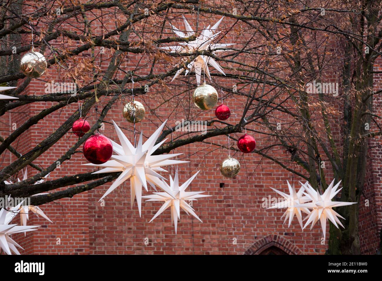 Tree, Treeballs, Stars Stock Photo - Alamy