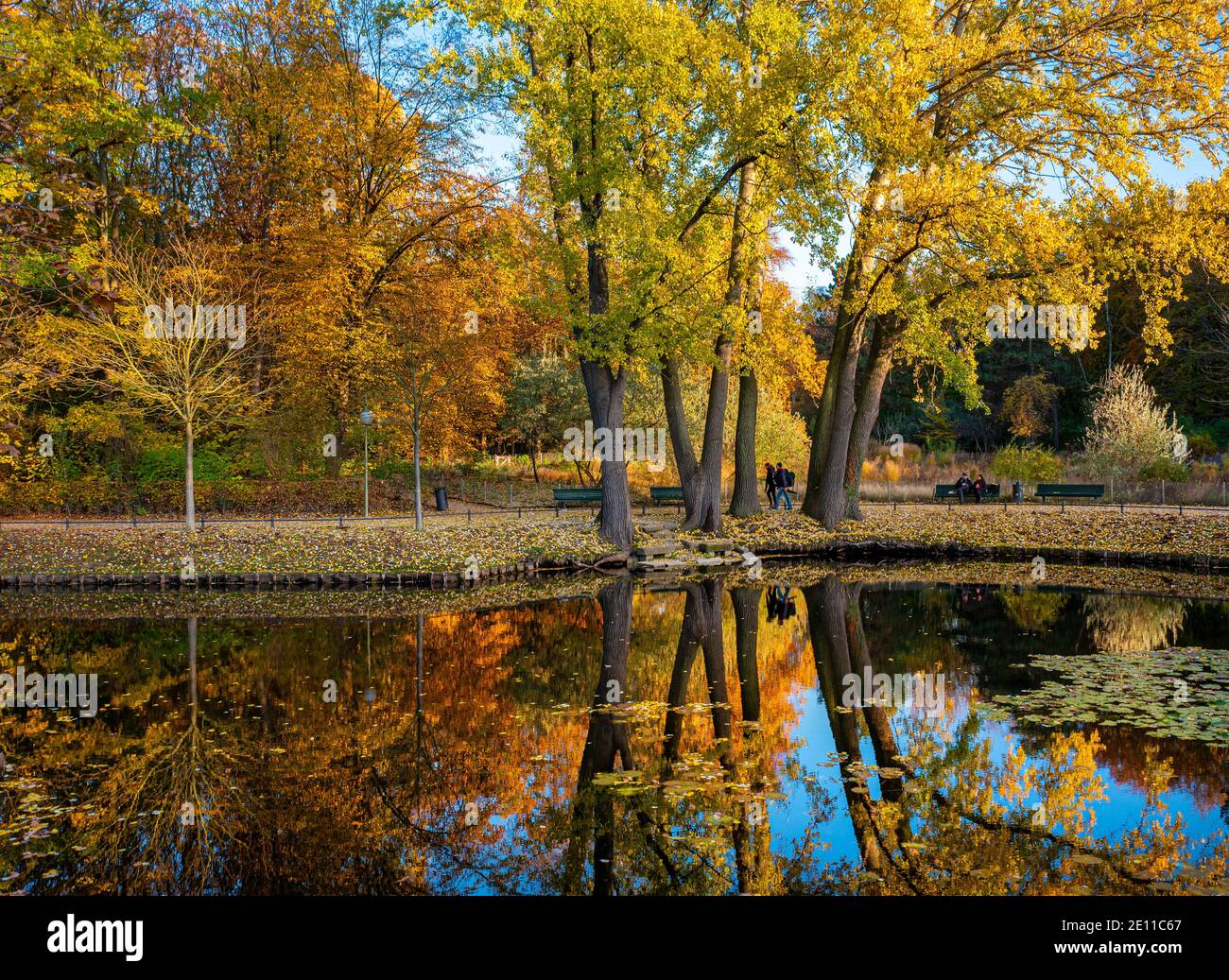 Autumn In The Park In Berlin Stock Photo - Alamy
