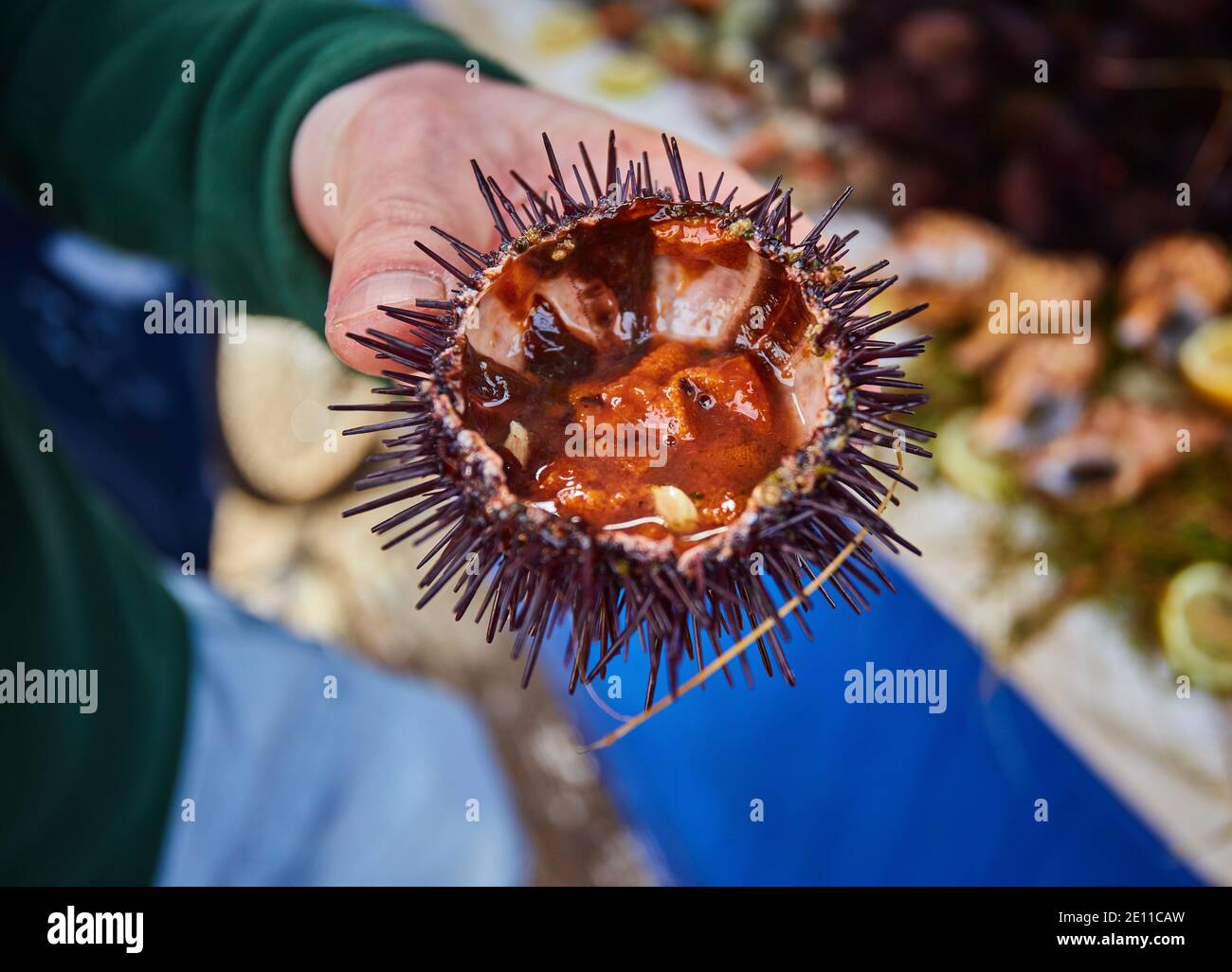 Real fish market and fresh fish, seafood from Atlantic ocean in Morocco ...